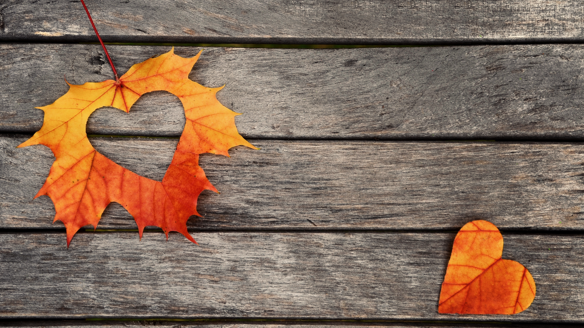 CPH Study Blog Posts