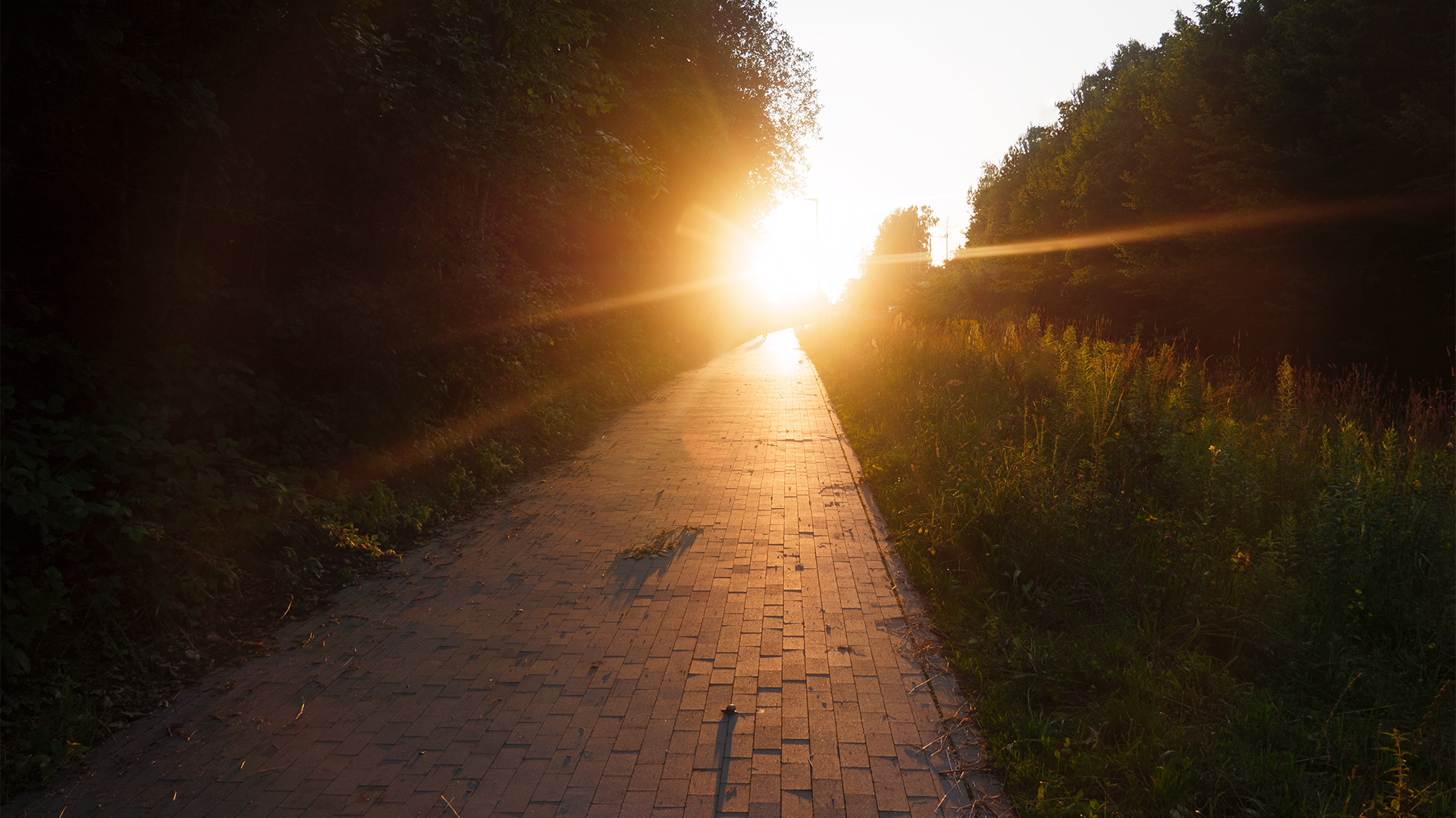 Digging Deeper into Scripture: Ephesians 1:3–14