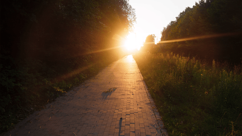 Digging Deeper into Scripture: Ephesians 1:3–14