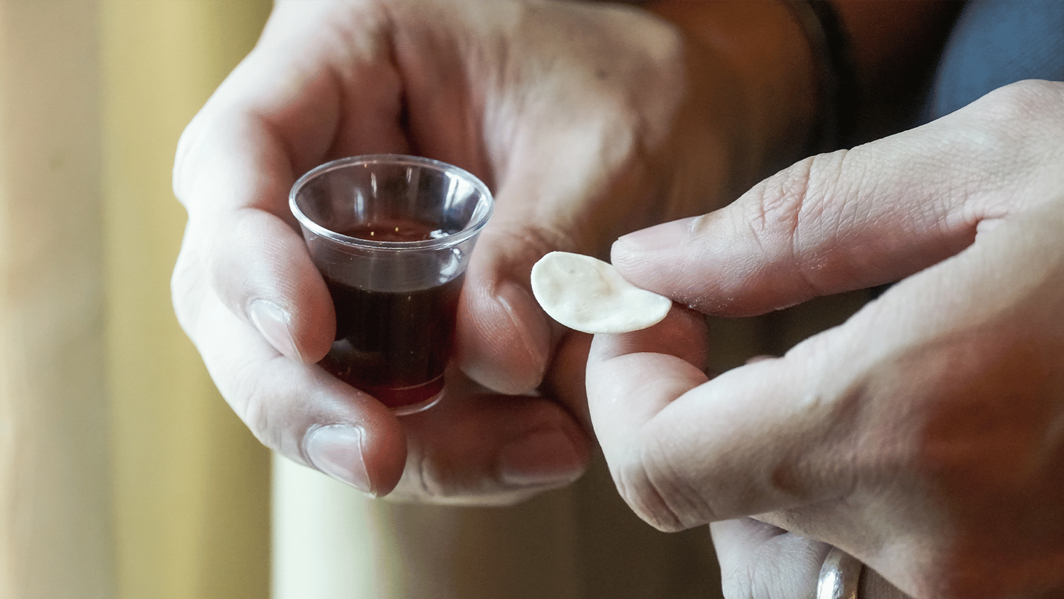 Digging Deeper into Scripture: John 6:51–69