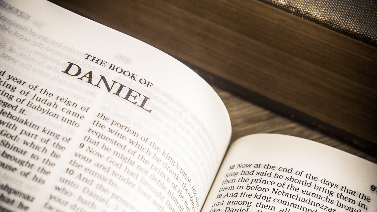 Shedding Light on Themes in Daniel