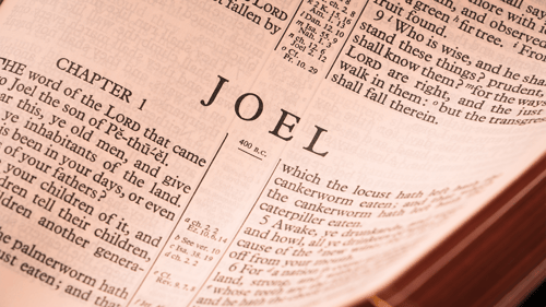 Joel: An Overview