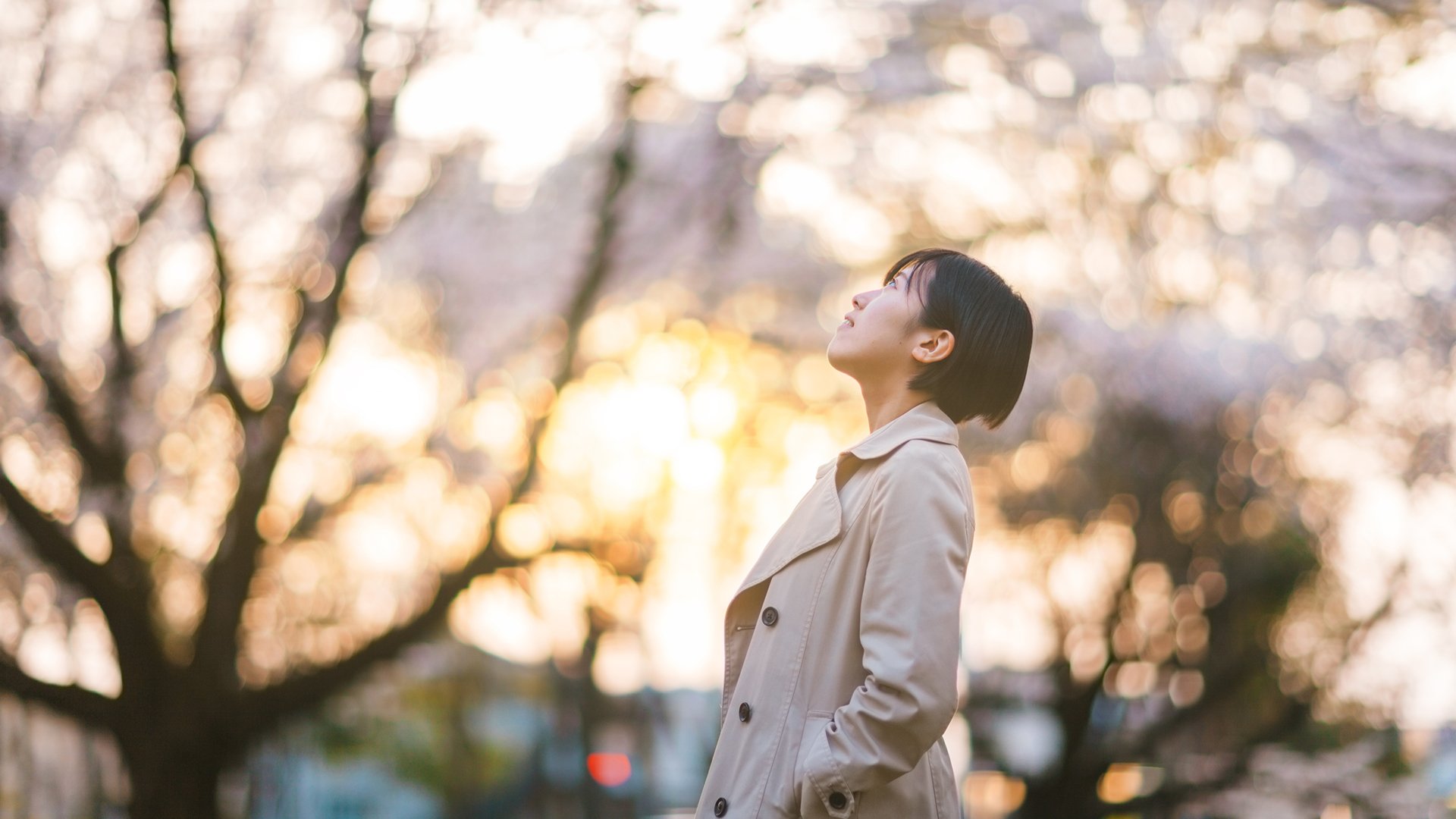 Finding Peace in Jesus’ Words