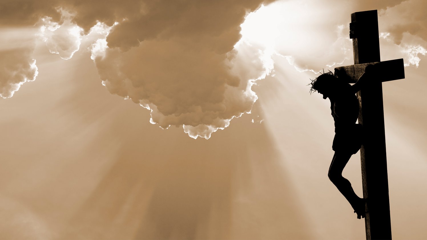 Digging Deeper into Scripture: Mark 10