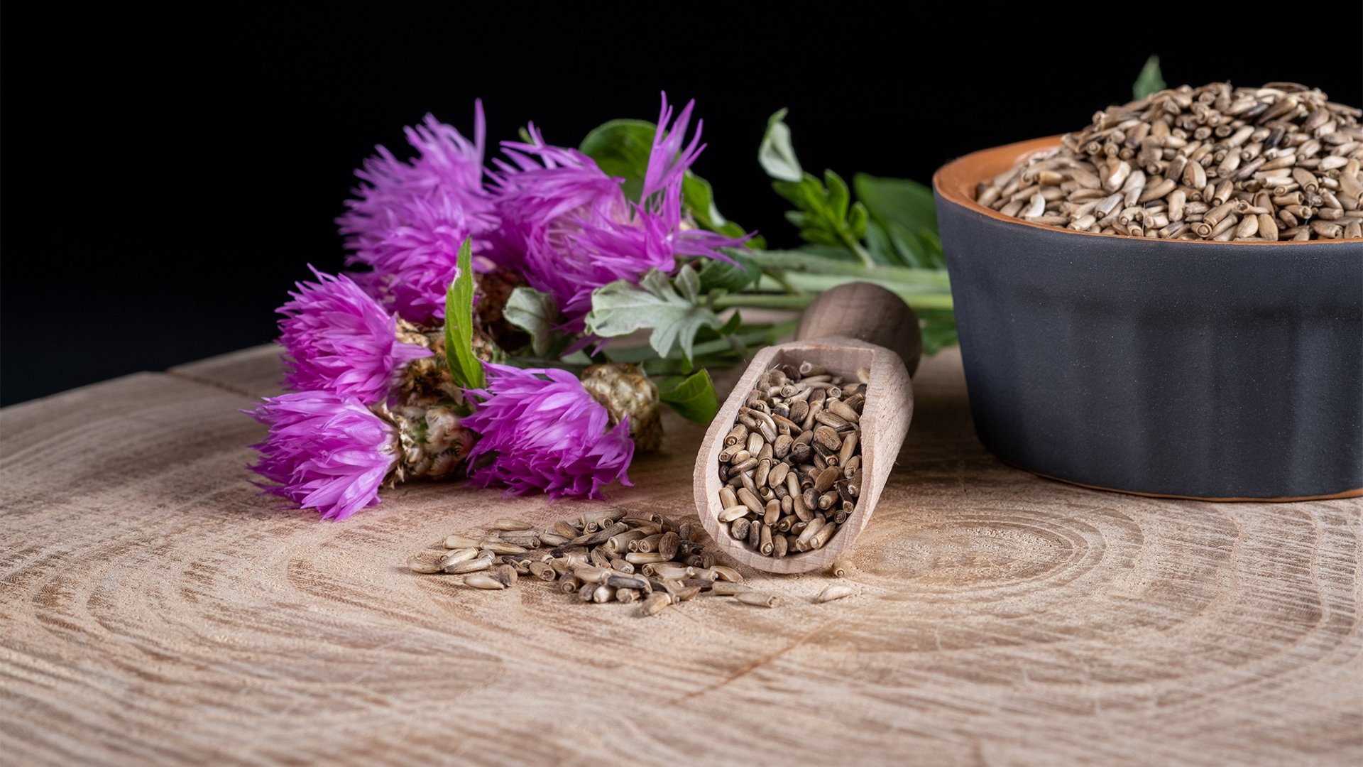 Digging Deeper into Scripture: Matthew 13:1–9, 18–23