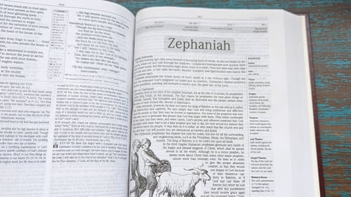 Zephaniah: An Overview
