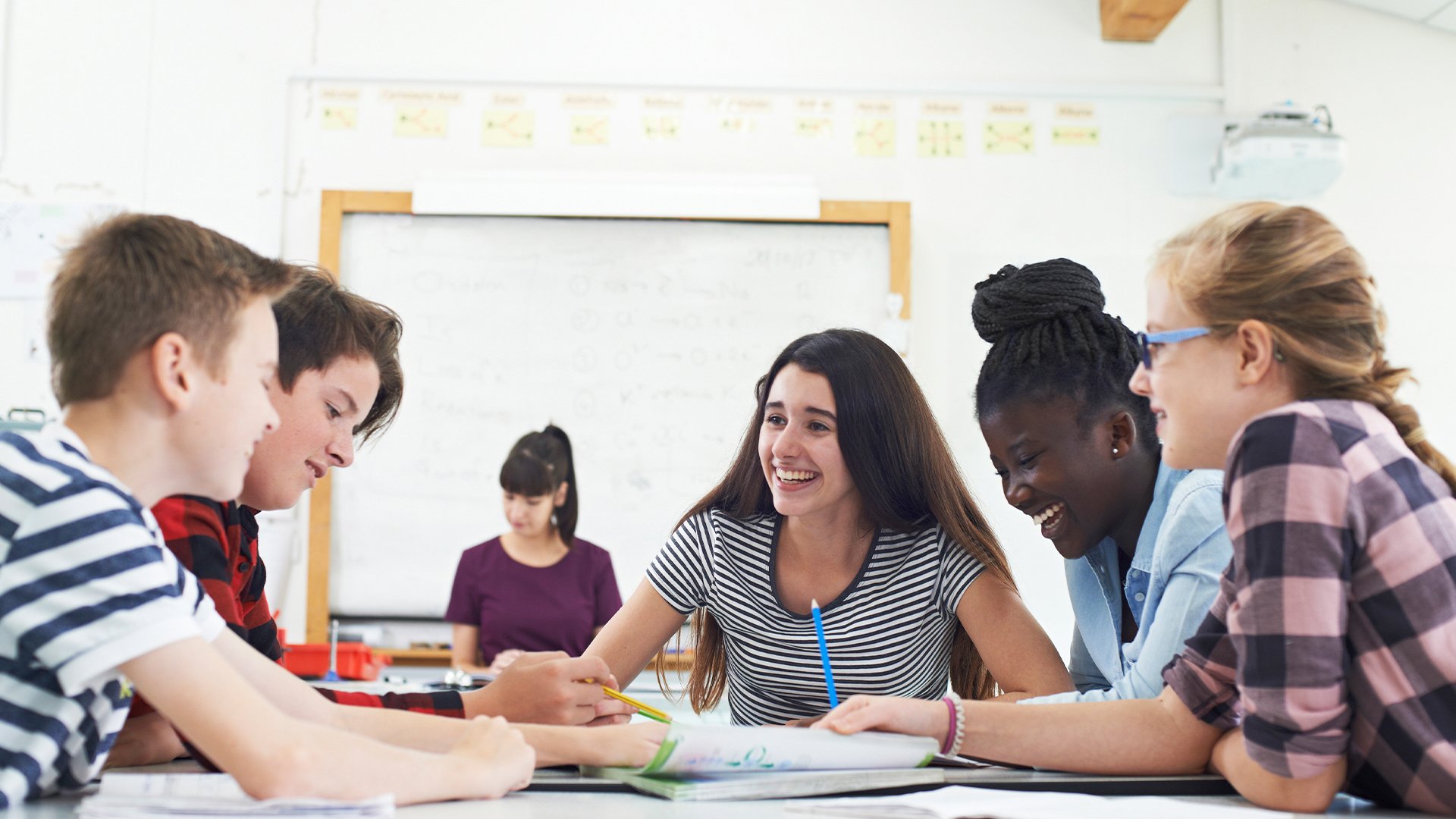 Models for Teaching Confirmation