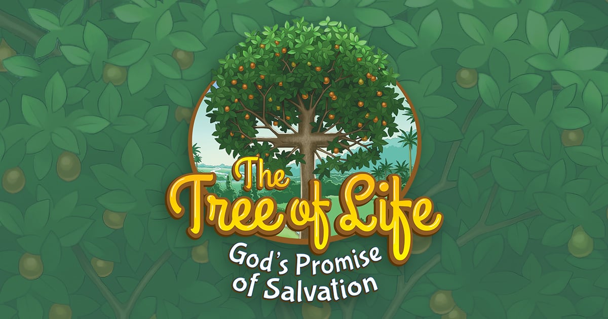 Answering Your Questions about The Tree of Life VBS