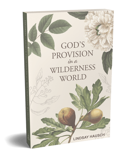 Don’t Overlook God’s Provisions in the Wilderness of Life