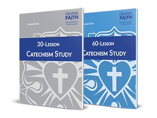 Models for Teaching Confirmation