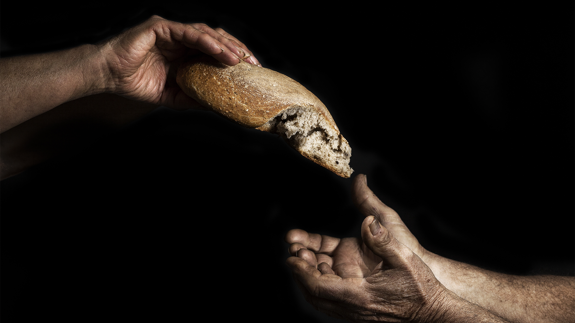 Digging Deeper into Scripture: Luke 12:22–34