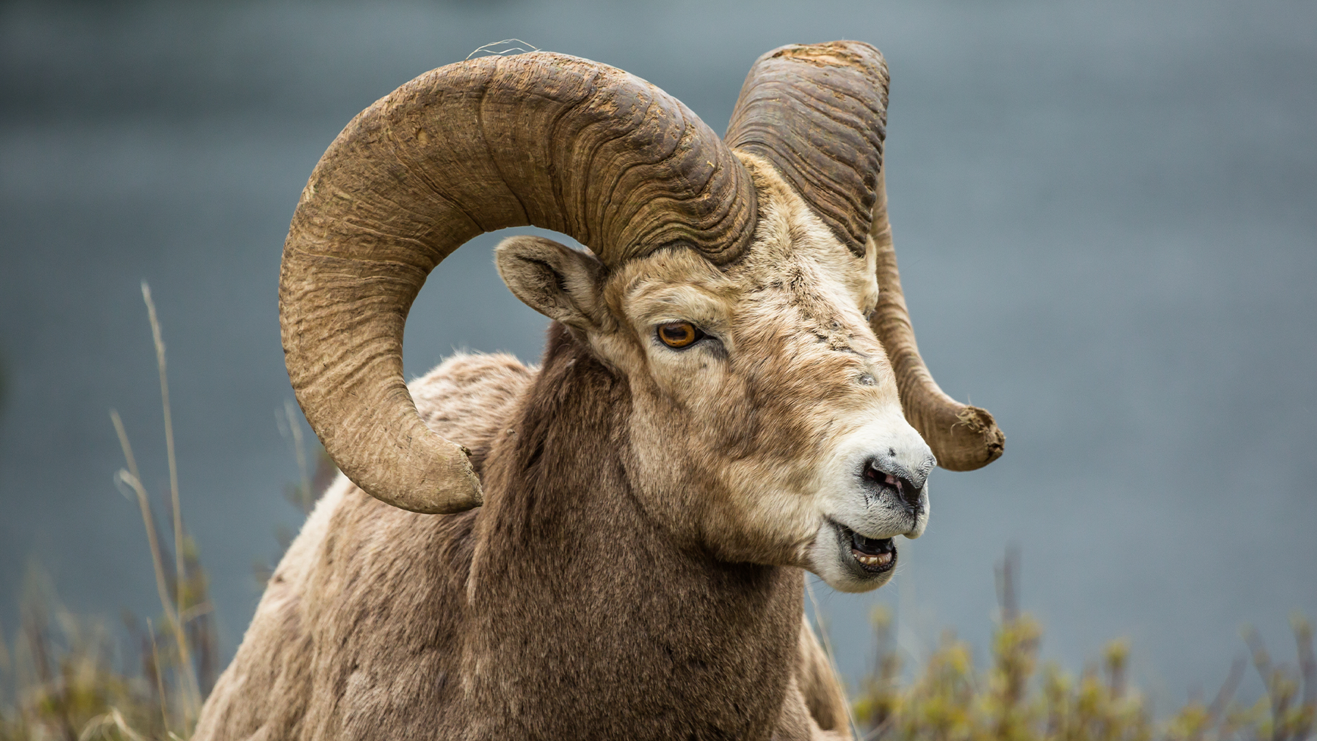 Digging Deeper into Scripture: Genesis 22:1–18