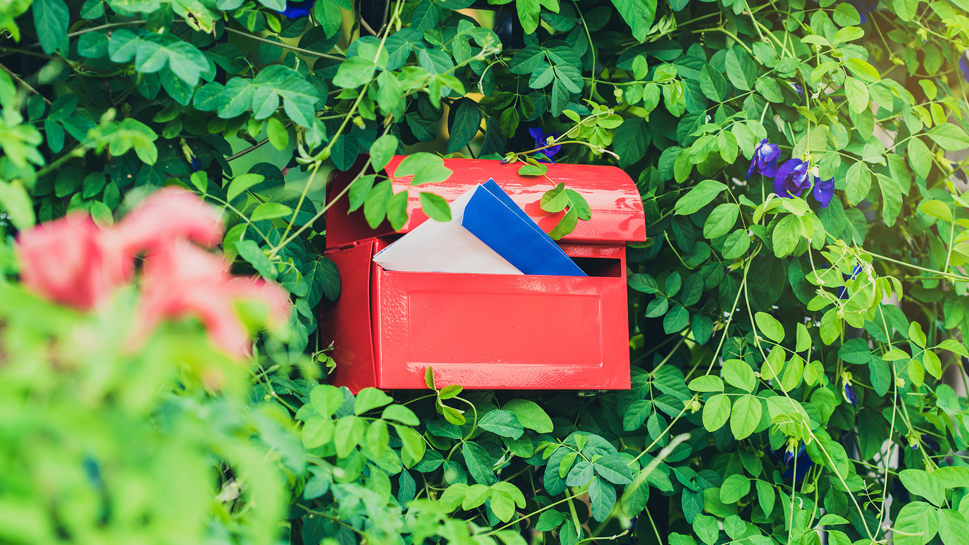 Joy in Receiving: Women’s Bible Study on Philippians 1:1–2