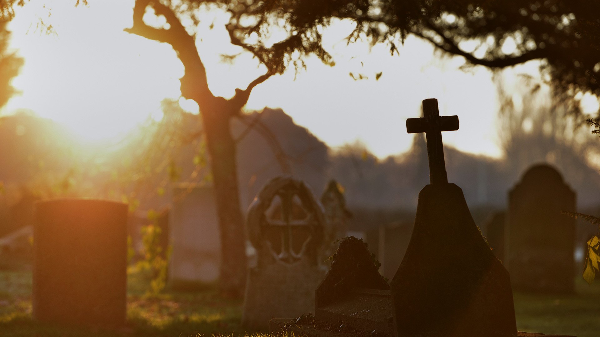 5 Myths About What Happens When You Die