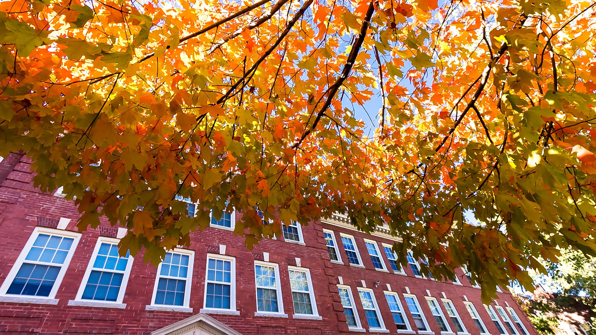 Adjusting to Change in Your College Years
