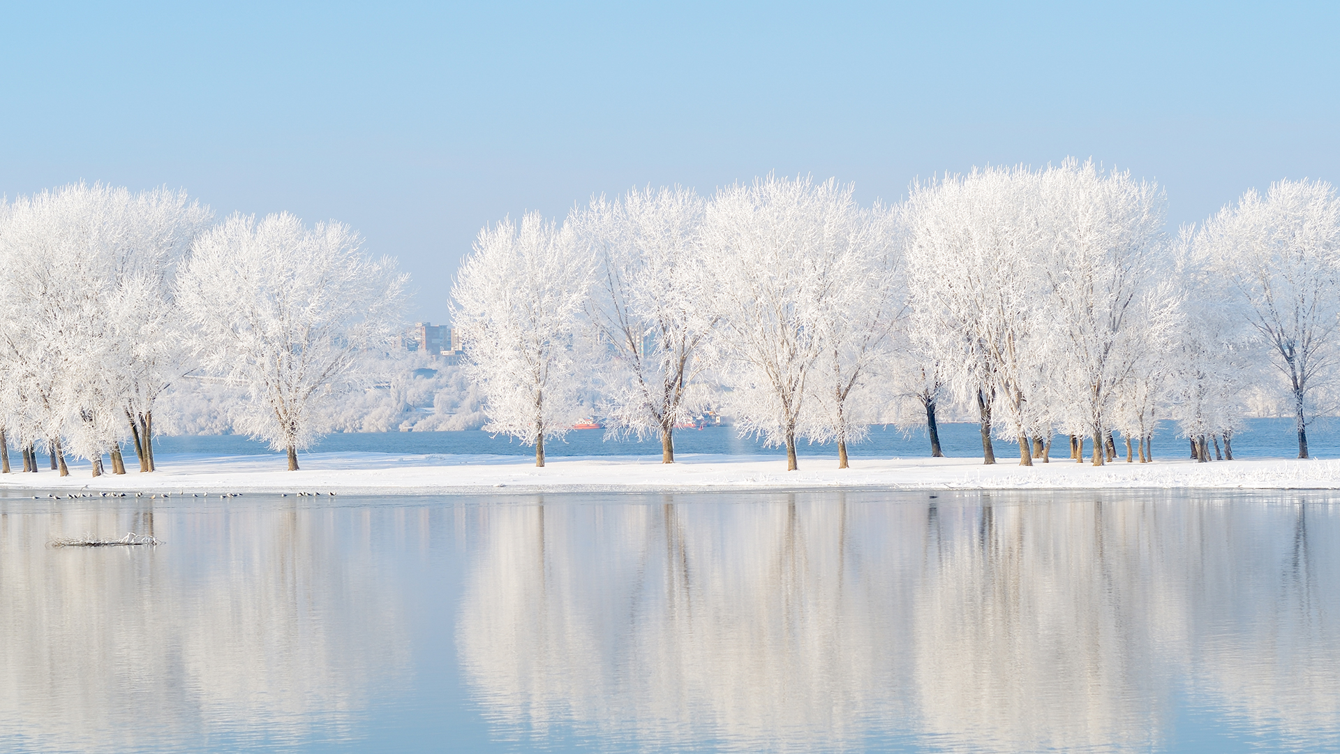 4 Ways to Find Joy in Winter