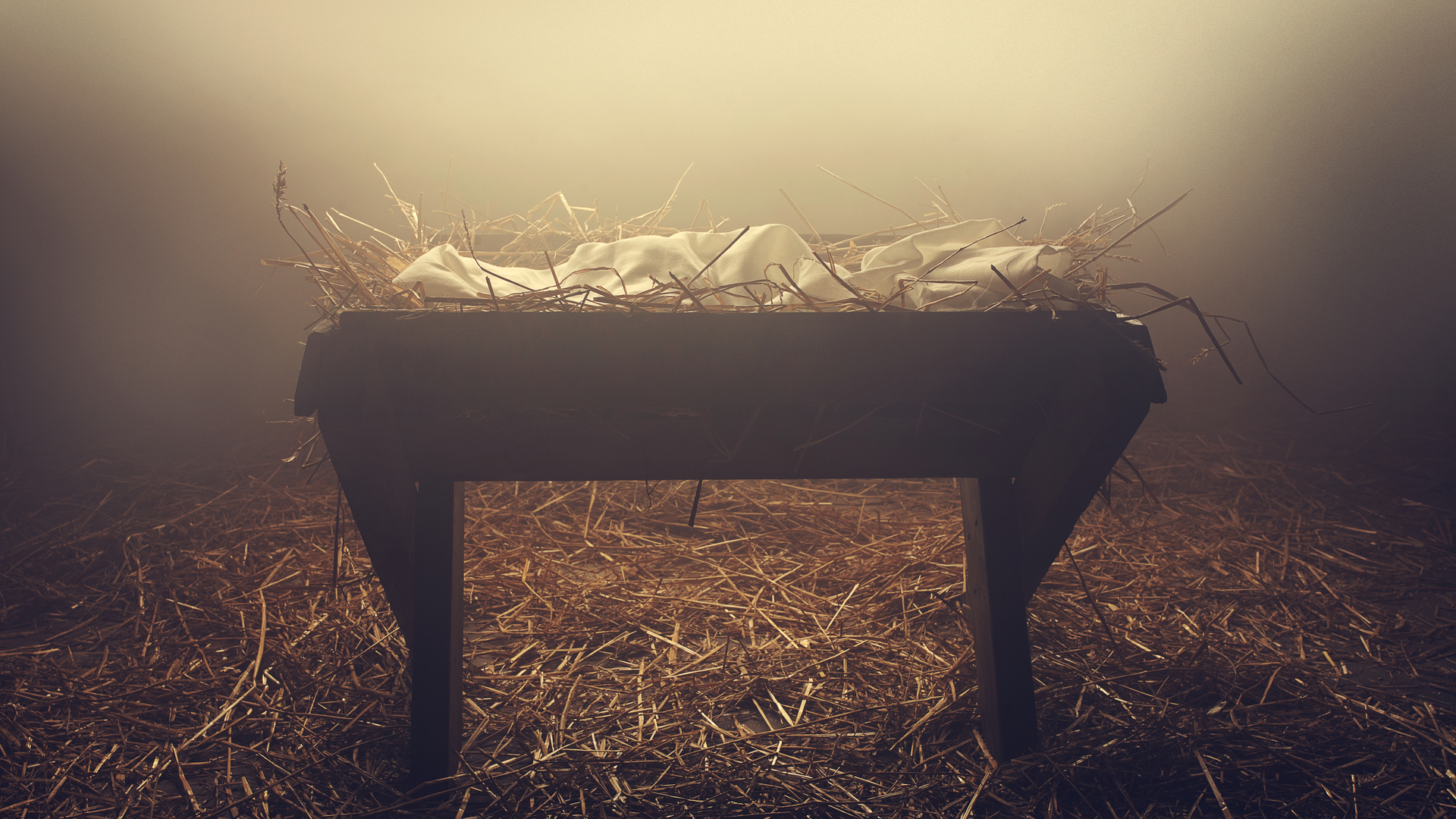 Our Advent Prayer: Come, Lord Jesus